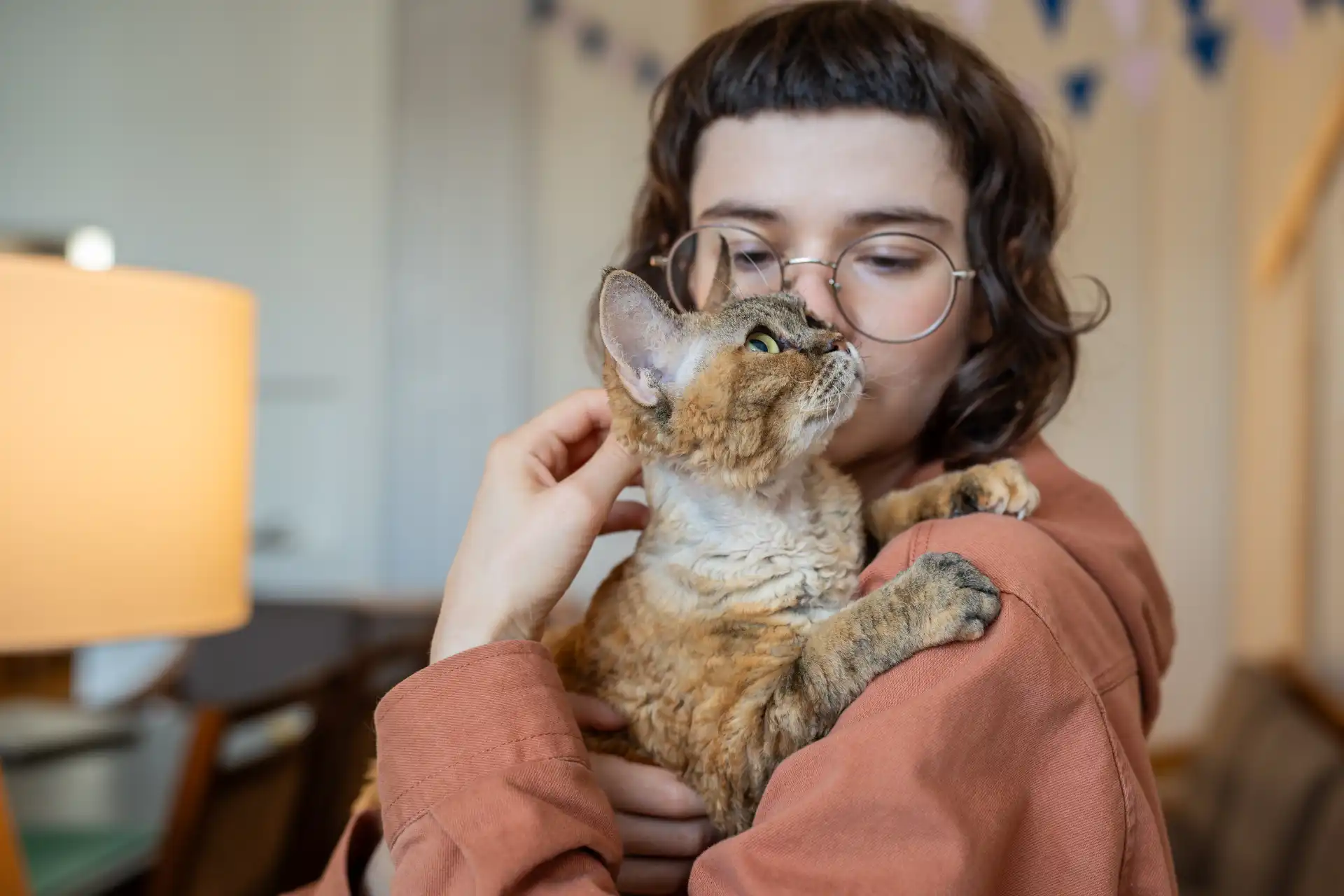 Gato Humano Idade Dos Gatos: Como Saber A Idade Do Meu Gato?